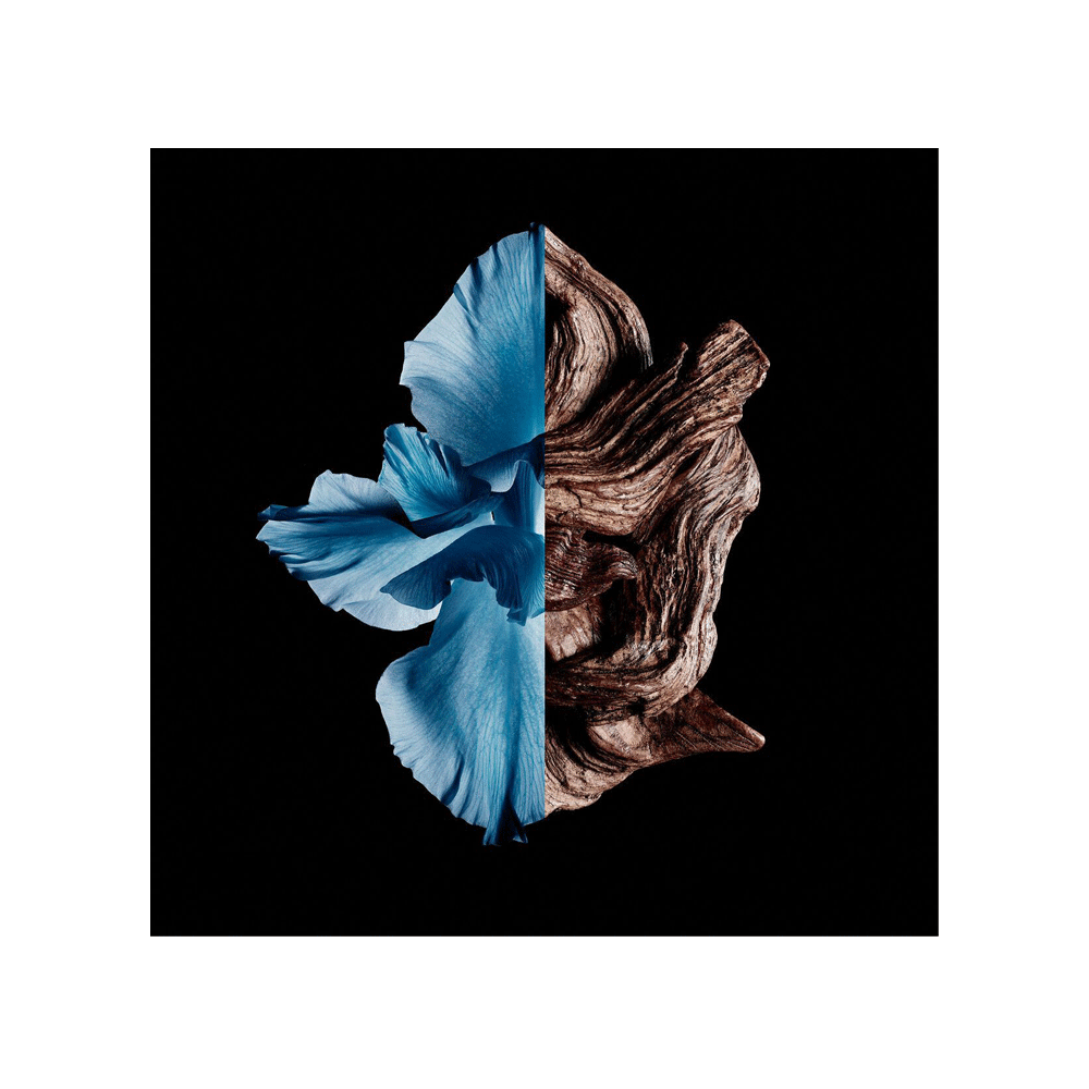 Perfume Givenchy Gentleman Edt Intense x 60 ml - farmaciasdelpueblo