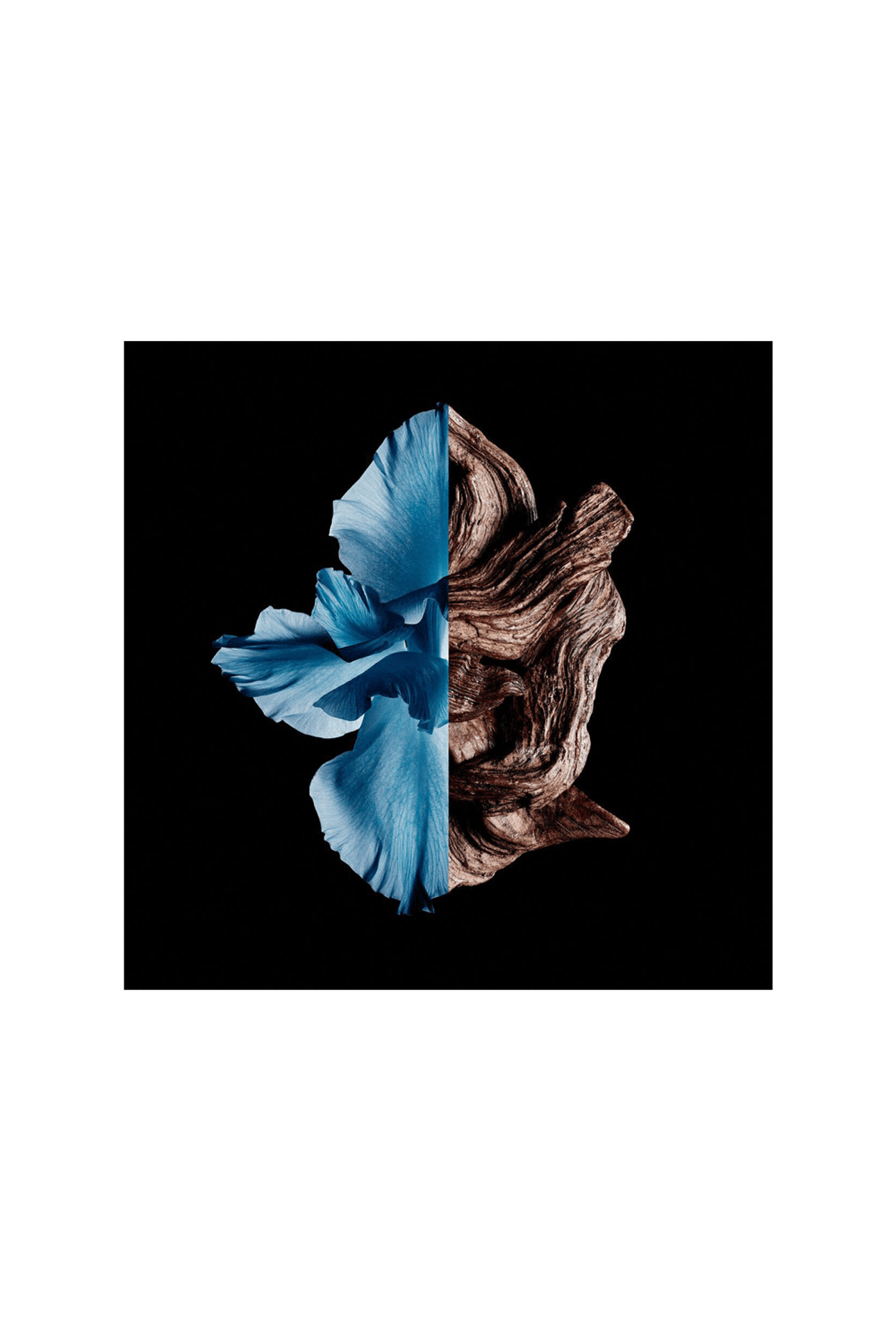 Perfume Givenchy Gentleman Edt Intense x 60 ml - farmaciasdelpueblo